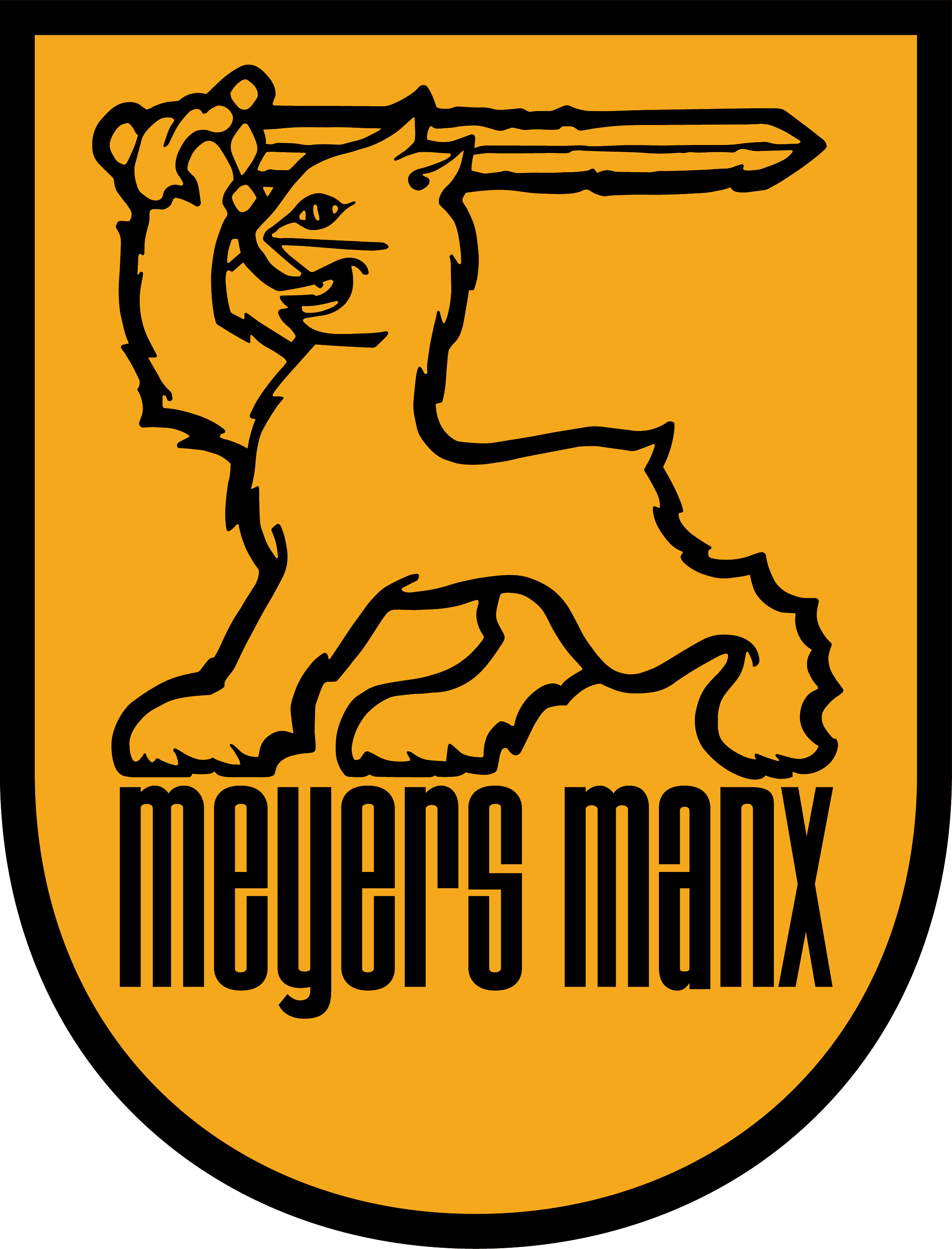 Meyers Manx | The Original Dune Buggy